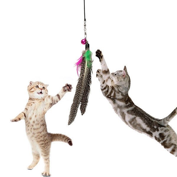 Cat Toys – A Coombs Pet Centre