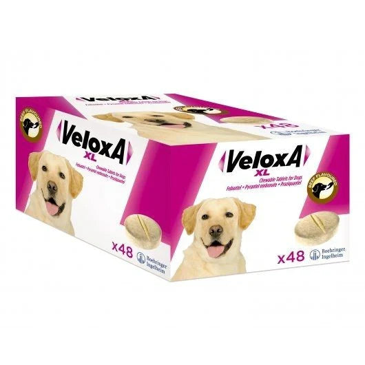 Veloxa XL Chewable Worming Tablets for Dogs (48Tablets) – A Coombs Pet ...