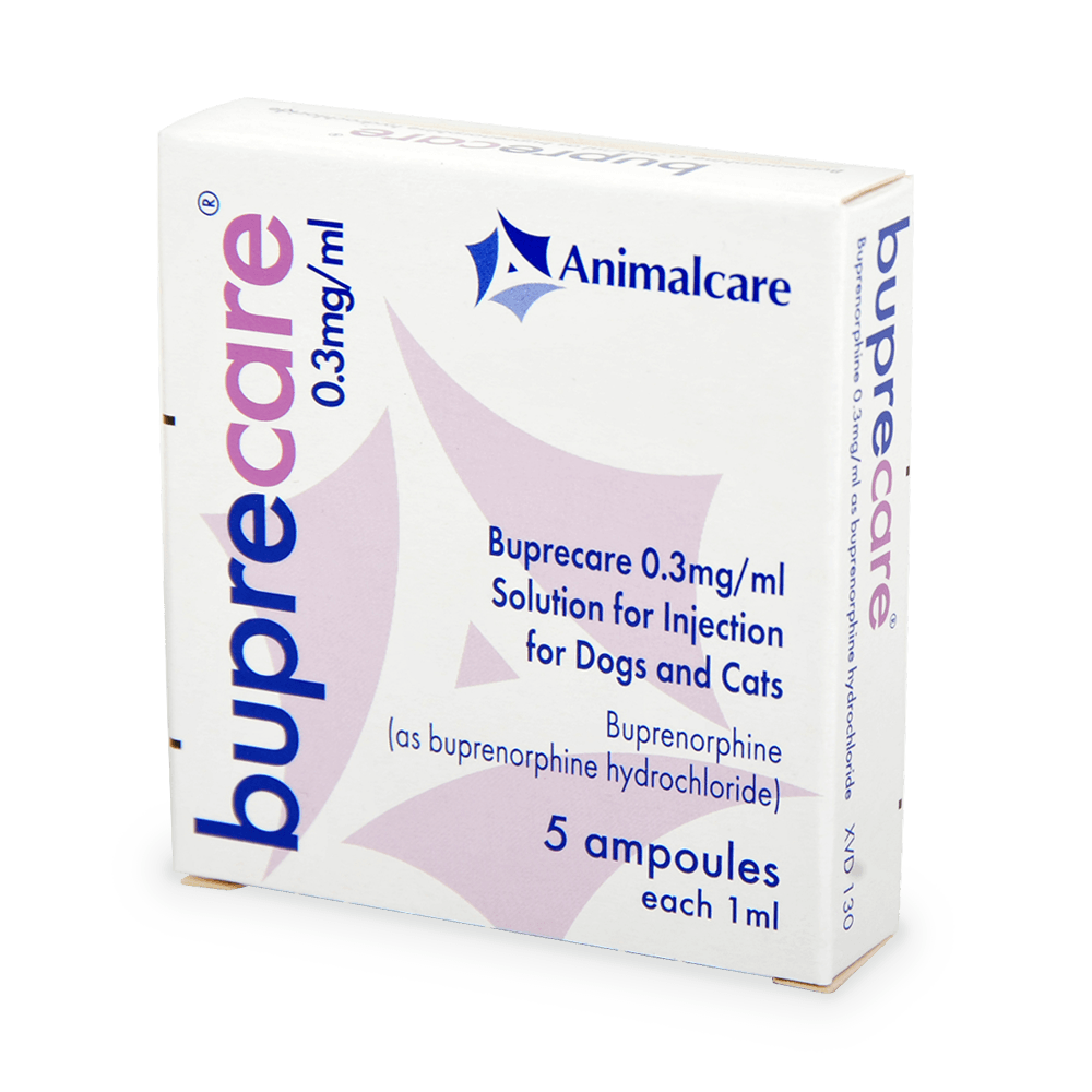 Buprecare Solution Ampoules - Buprenorphine Vet Pain Relief – A Coombs ...