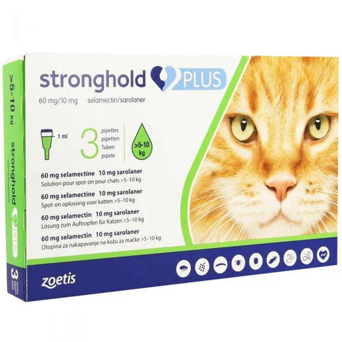 Stronghold® PLUS Spot-On Solution for Large Cats 5kg-10kg – A Coombs ...